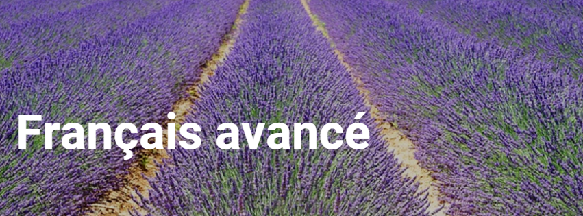Les compétences sur lesquelles travailler pour atteindre un niveau de ...